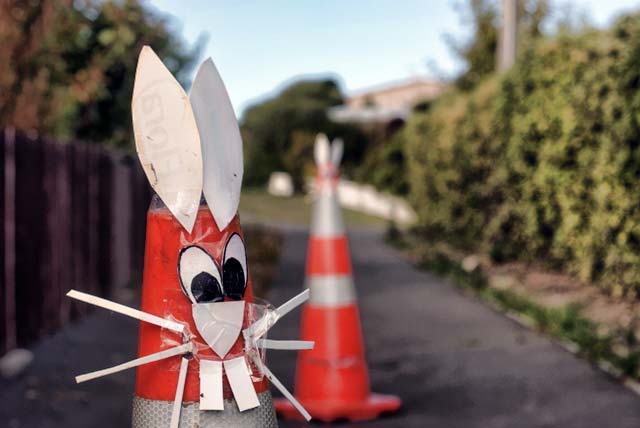 Easter Bunny Road Cones – Ōtautahi / Christchurch Daily Photo