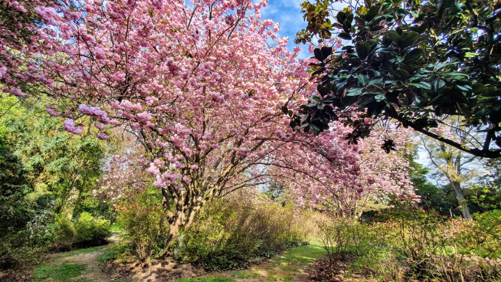 Springtime at the Ilam Gardens – Ōtautahi / Christchurch Daily Photo