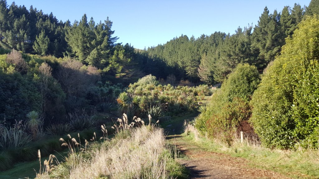 A walk around the Halswell Quarry Park – Ōtautahi / Christchurch Daily ...