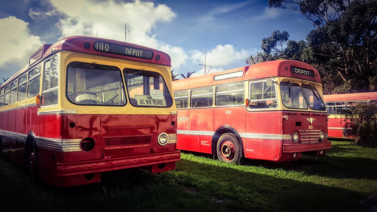 Old buses at Ferrymead Heritage Park – Ōtautahi / Christchurch Daily Photo