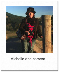 Meet the Blogger – Ōtautahi / Christchurch Daily Photo