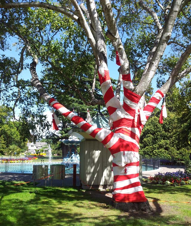 Bulgarian Martenitsa Tree Botanic Gardens – Ōtautahi / Christchurch ...