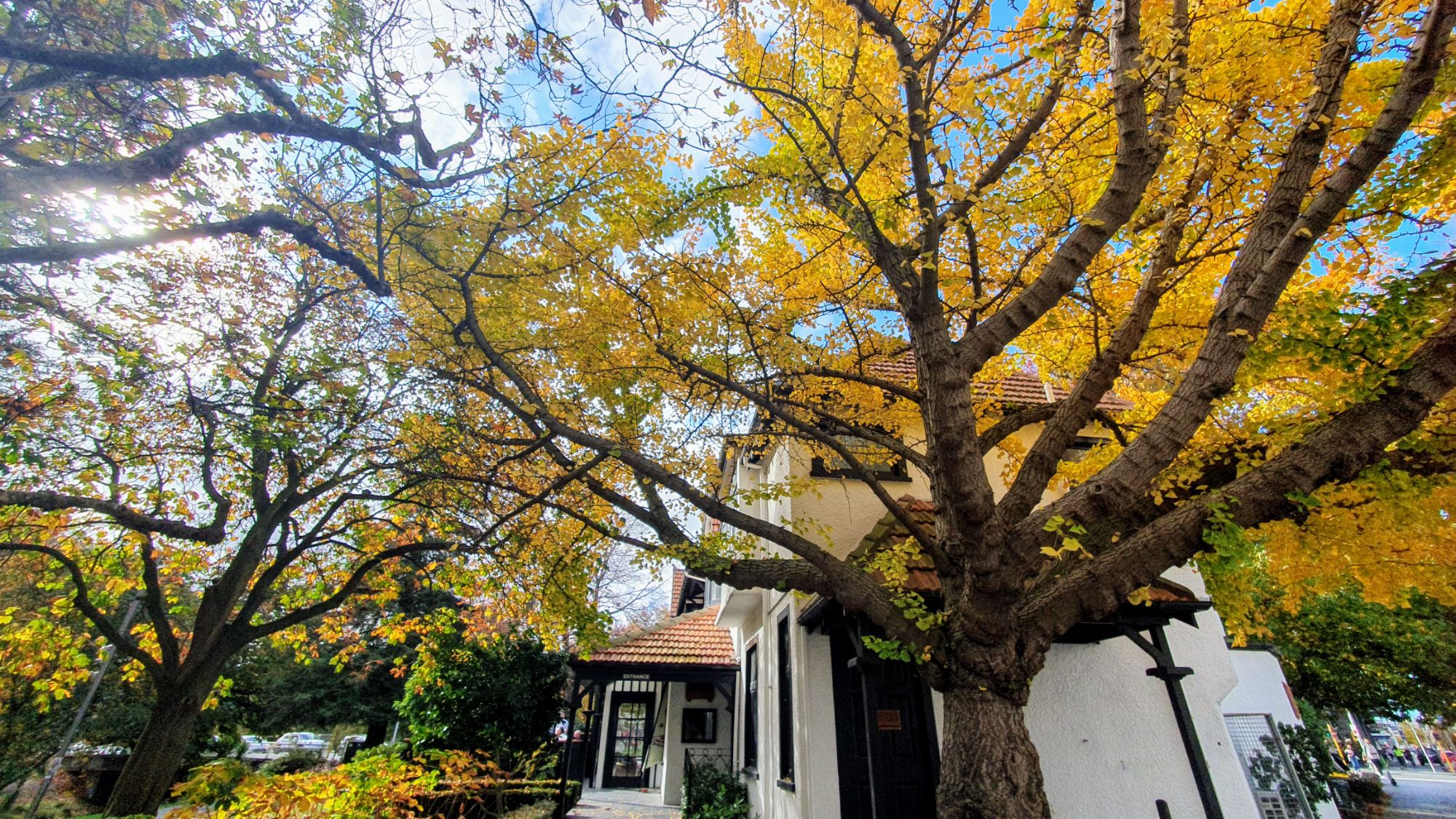 Daily Photo – Ōtautahi / Christchurch Daily Photo