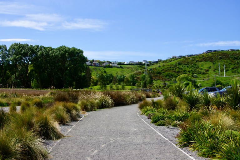 Te Kuru Wetlands in Halswell – Ōtautahi / Christchurch Daily Photo