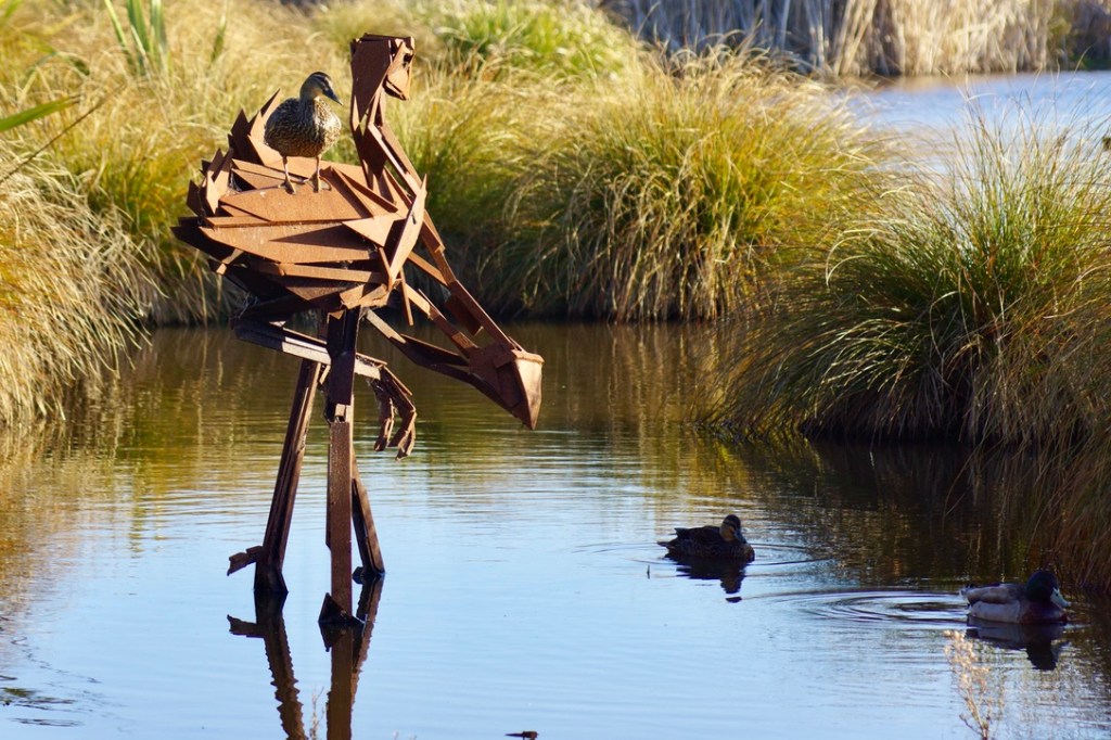 Duck on a bird sculpture, at Travis Wetlands – Ōtautahi / Christchurch ...
